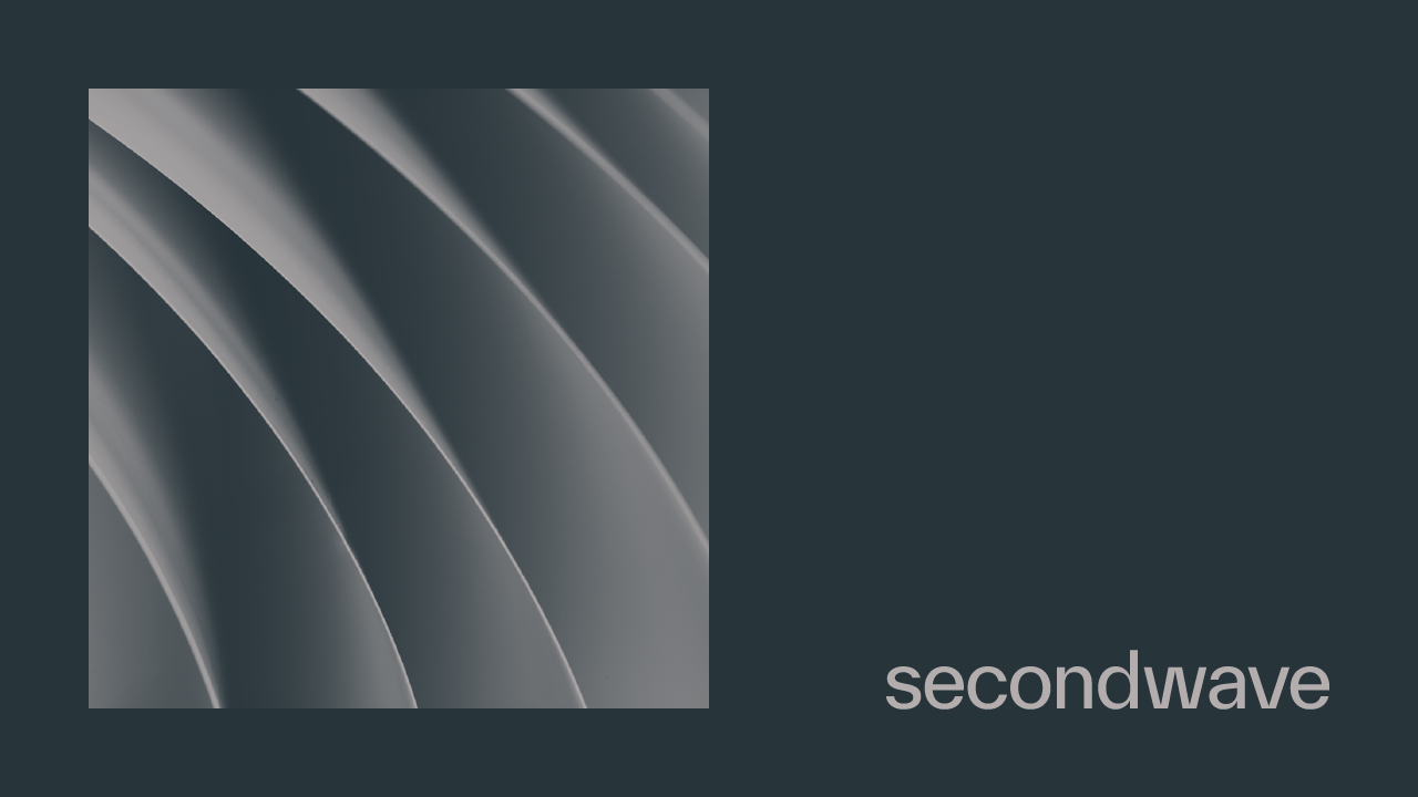 Services | Serving Risk-Bearing Entities | Secondwave Delivery Systems